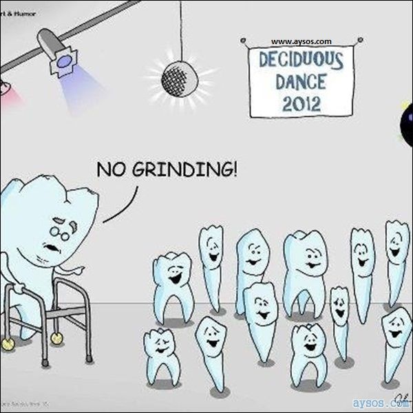 No Teeth Grinding Please - Funny and Sexy Videos and pictures