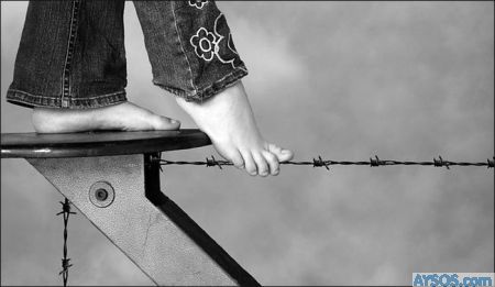 Bare Feet Barbed Wire - Funny and Sexy Videos and pictures