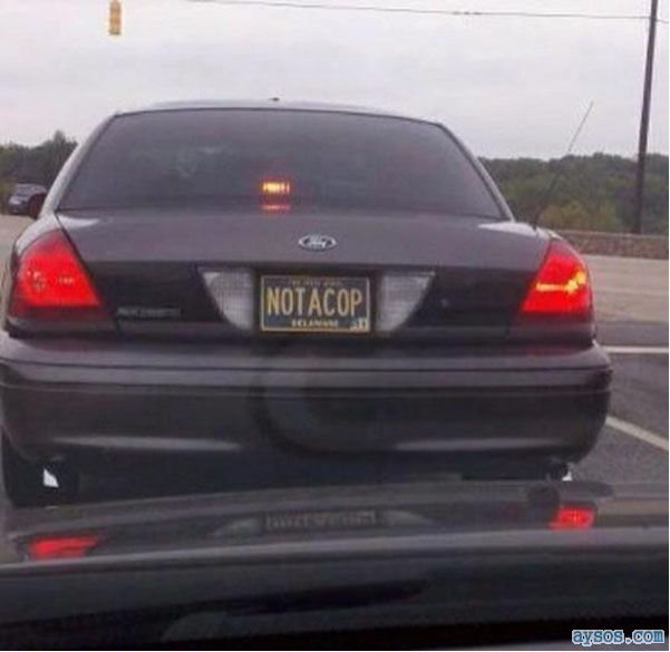 Not A Cop Car Funny License Plate Picture - Funny and Sexy Videos and ...